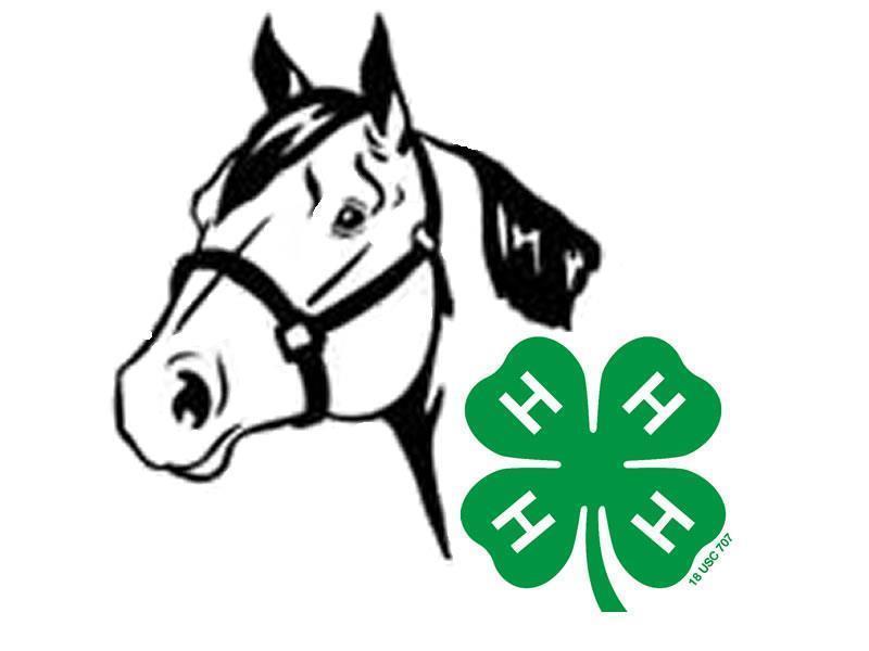 2022 Arizona State 4 H Horse Show FairEntry